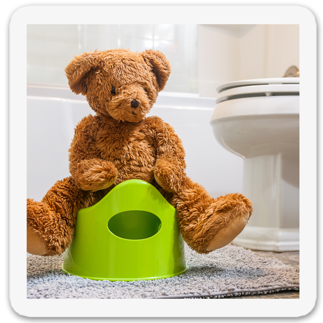 3 Day Potty Training Method - The Big Red Barn